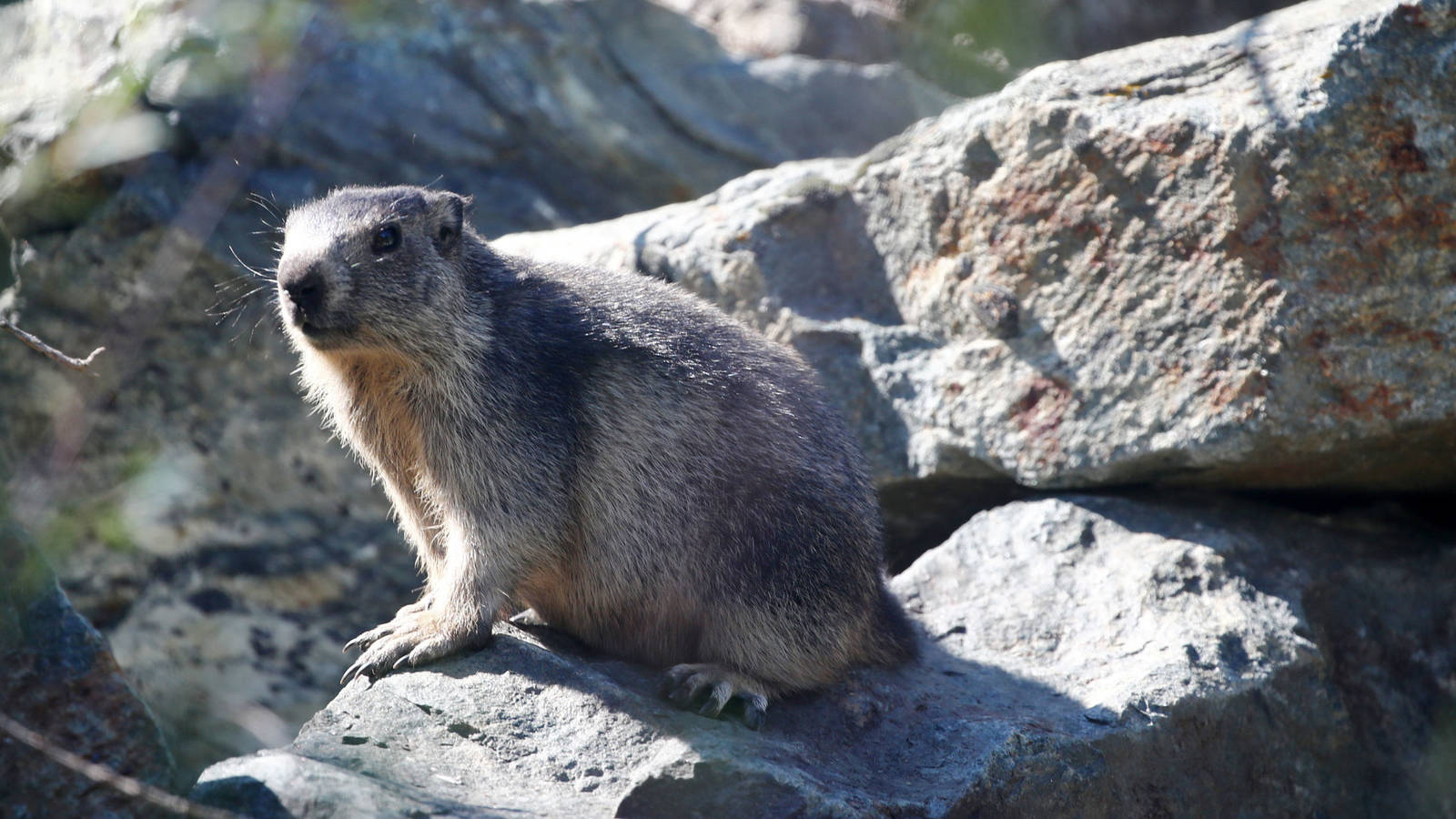 Un posible caso de peste bubónica pone en alerta a China