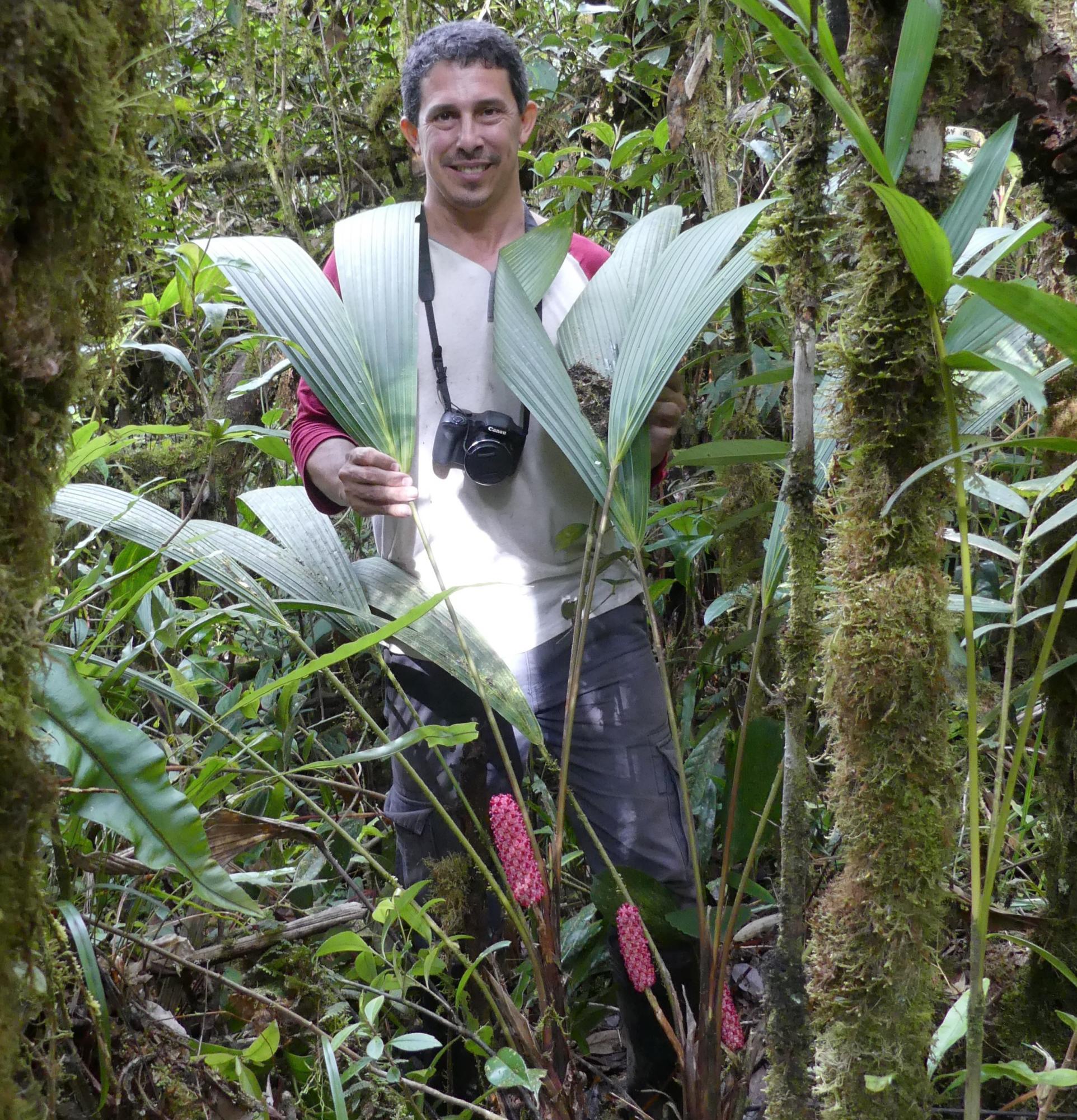 ¡Descubren una nueva flor en la Cordillera del Cóndor!