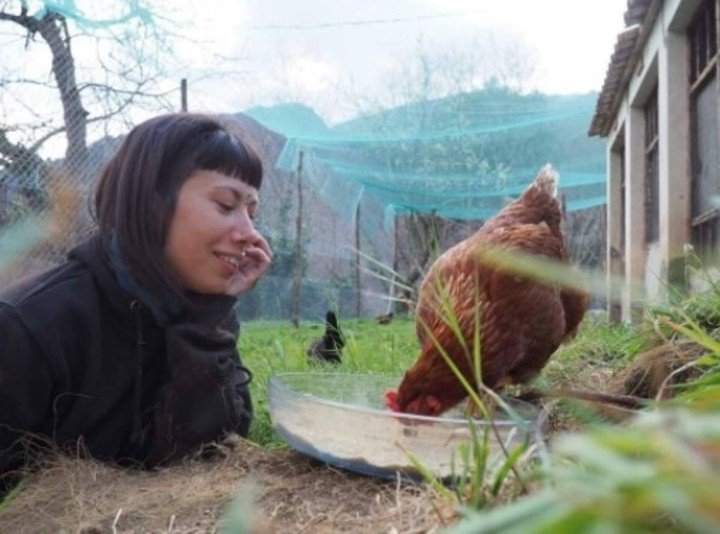 "No queremos que violen a las gallinas", el pedido de una activista