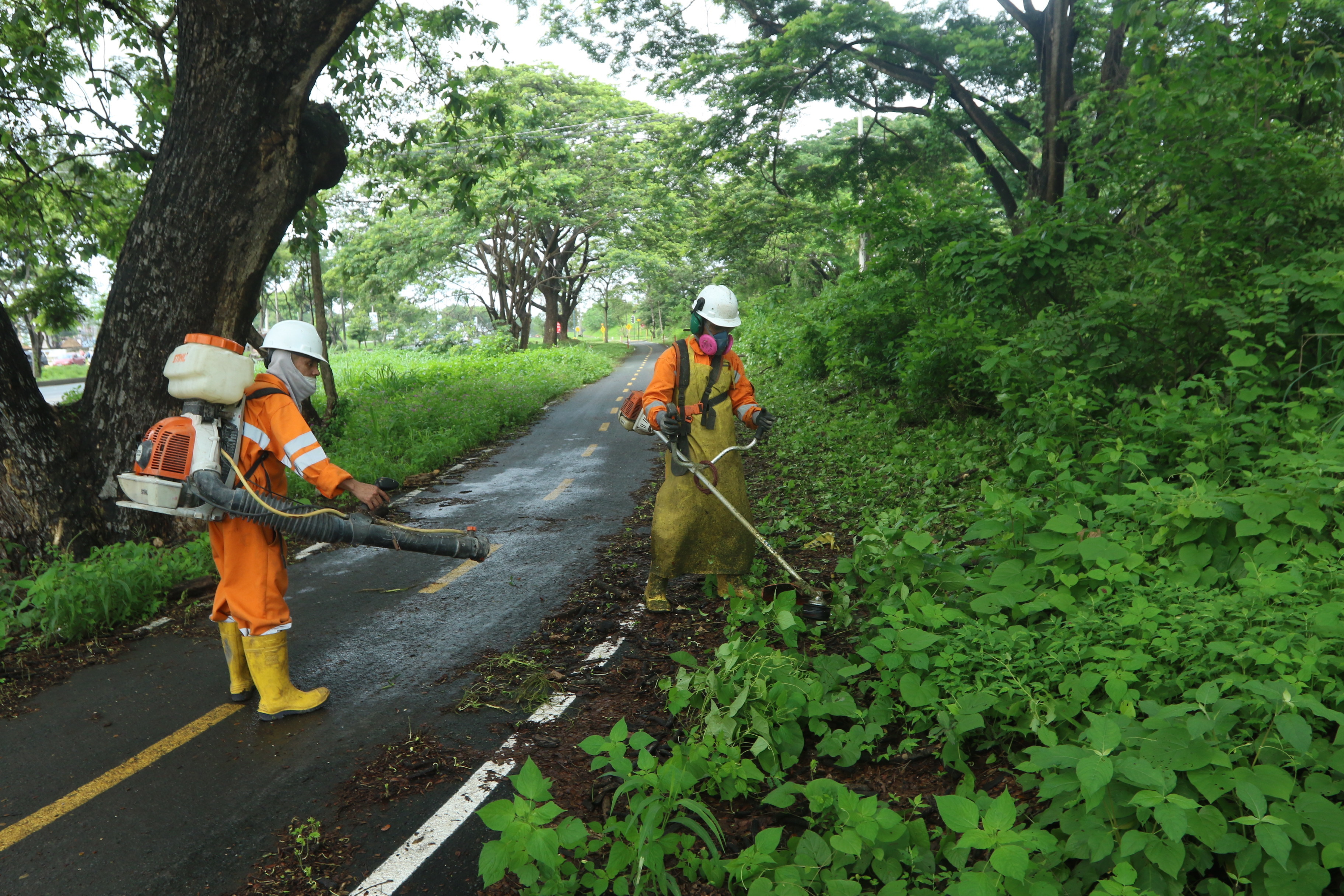 La verruga peruana continúa generando temor
