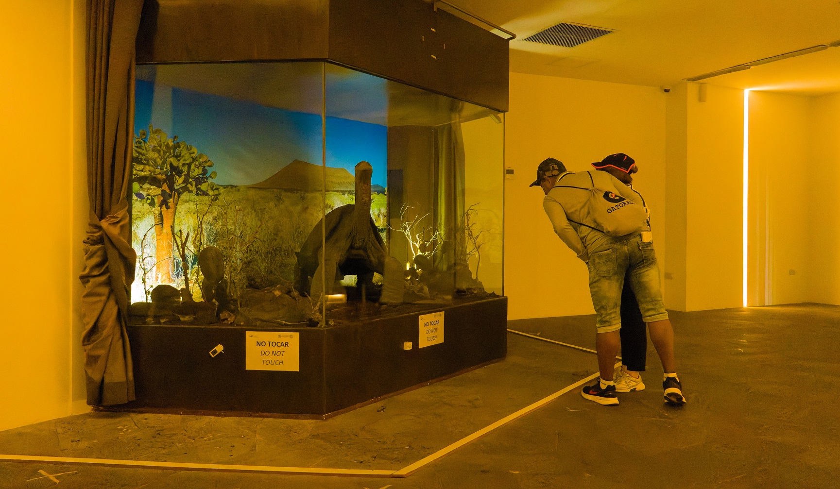 Galápagos: Nadie olvida al Solitario George, la tortuga más famosa del ...