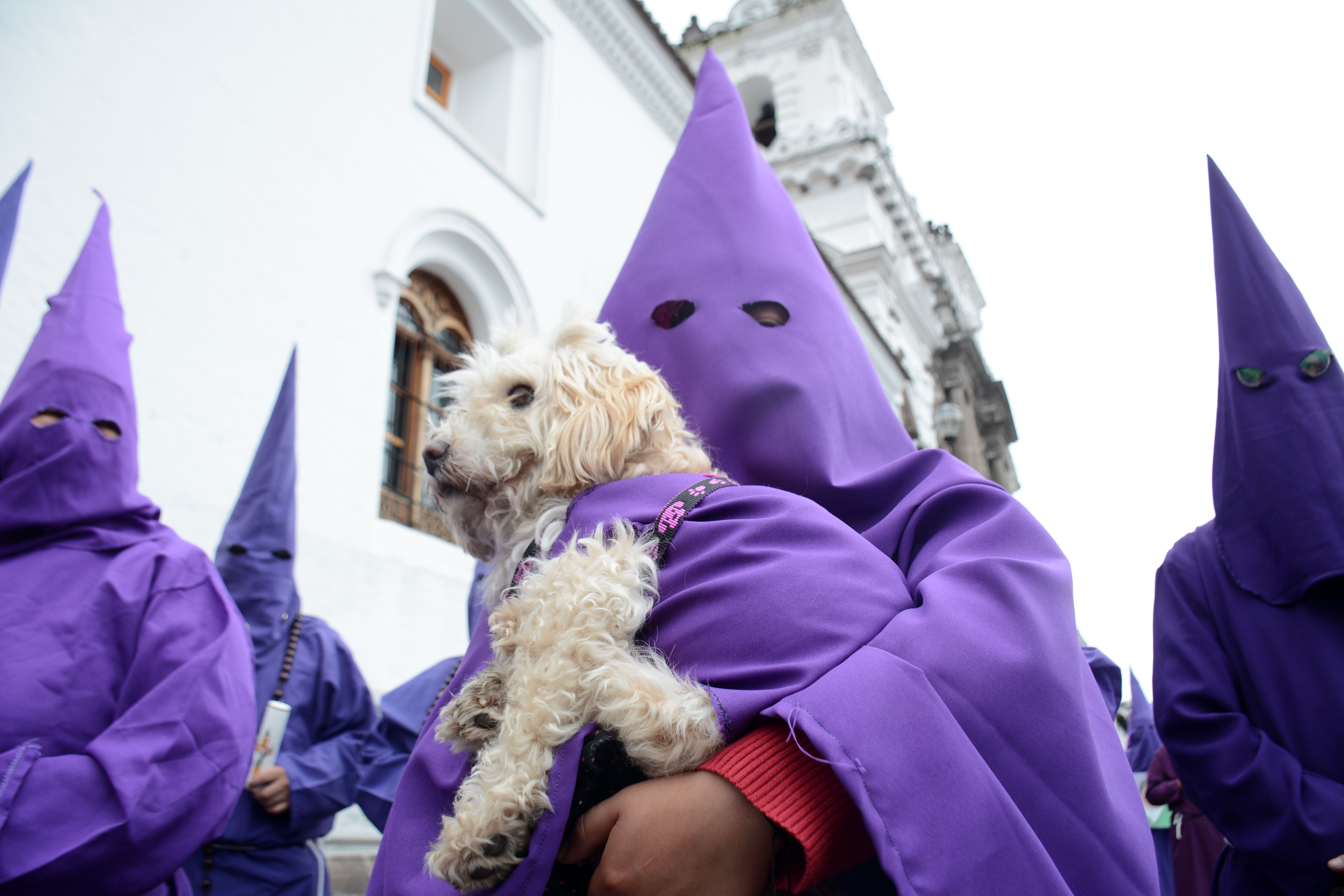Quito: familias salieron a flagelarse por fe en la procesión Jesús del ...
