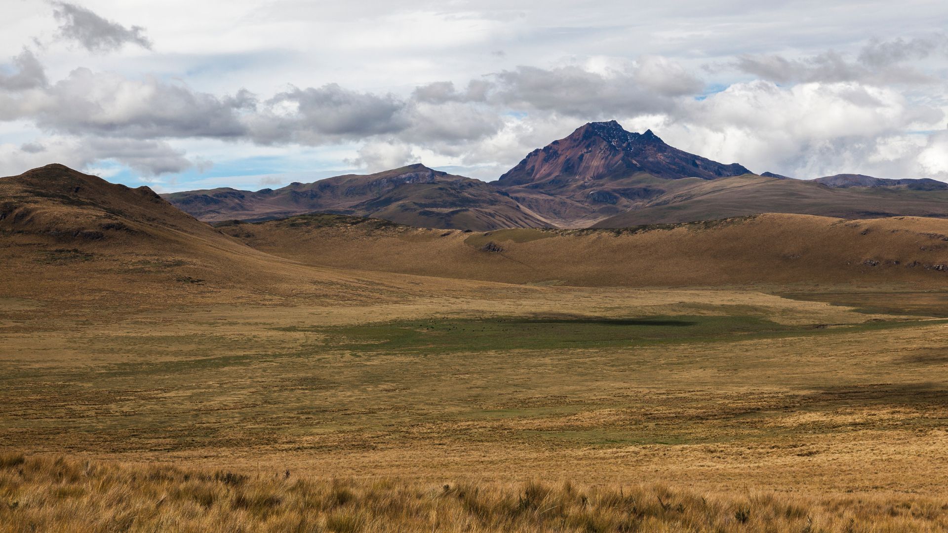 Páramos Ecuador: ¿Cuándo se celebra su día y cuántos ecosistemas de ...
