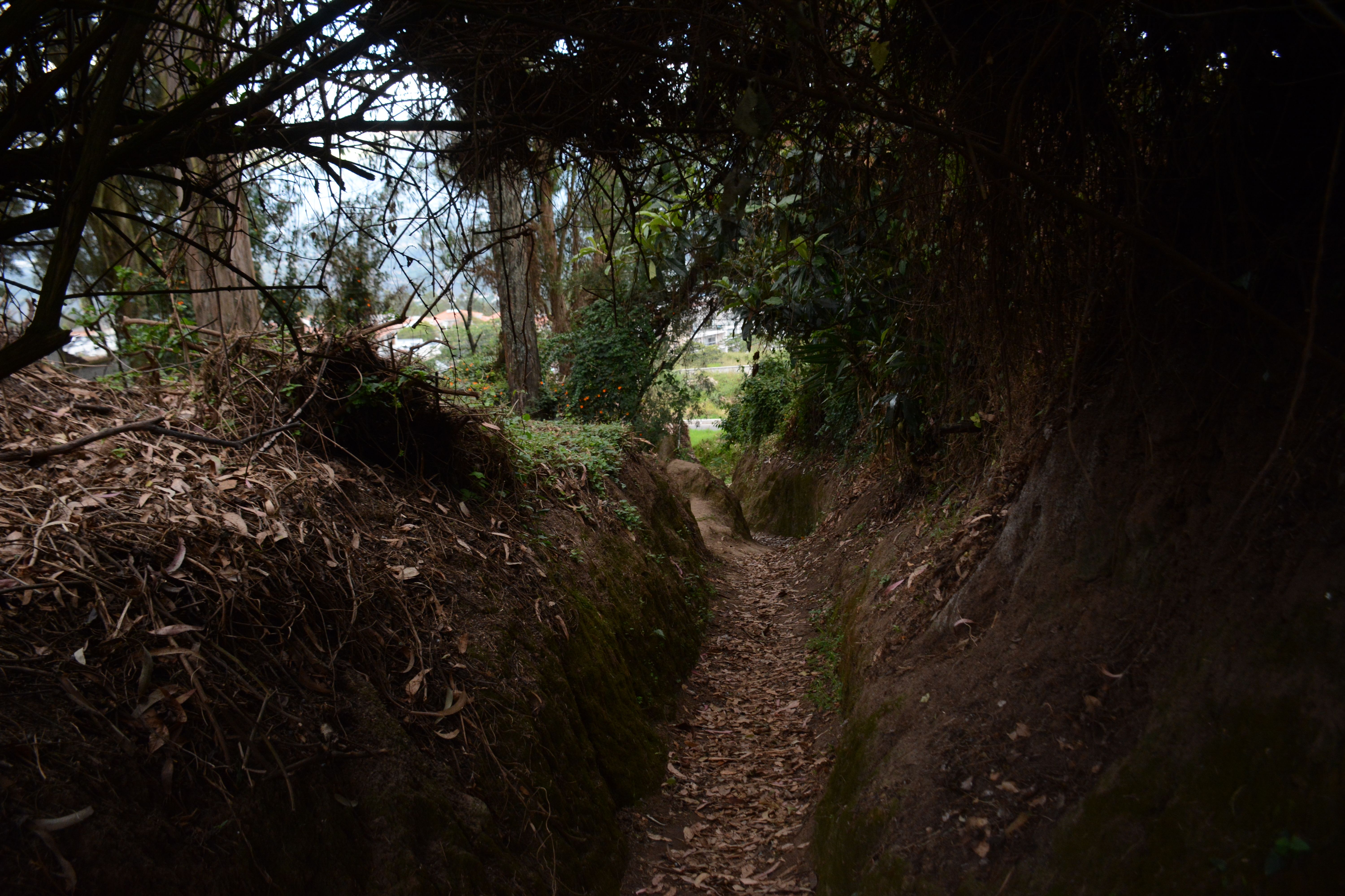 Quito: La quebrada Anitapungo se sigue contaminando | Noticias Quito