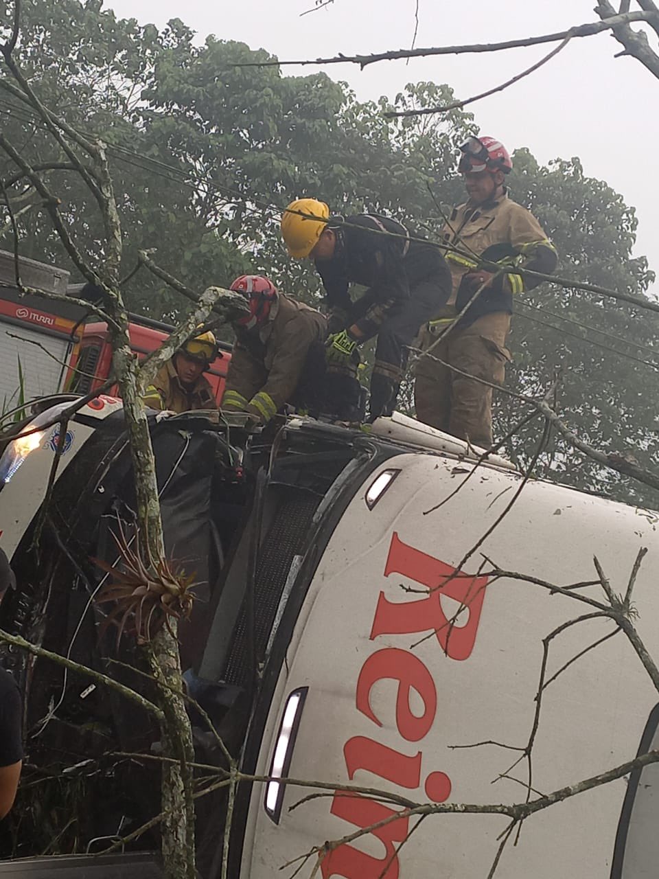 Bus de la Reina del Camino se accidentó en vía a Chone, una persona murió