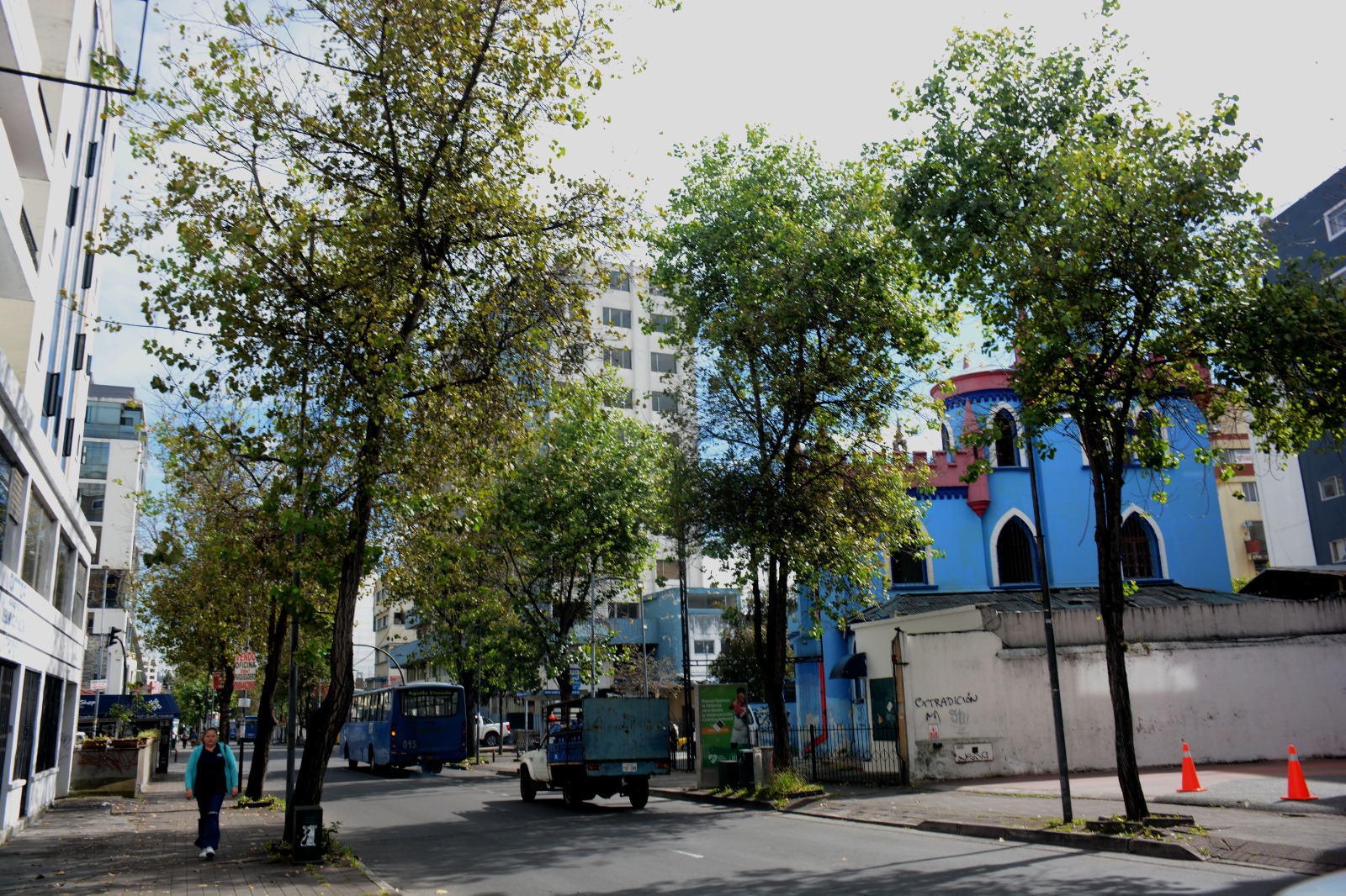 Quito: Así puedes solicitar la colocación de árboles en tu sector en ...