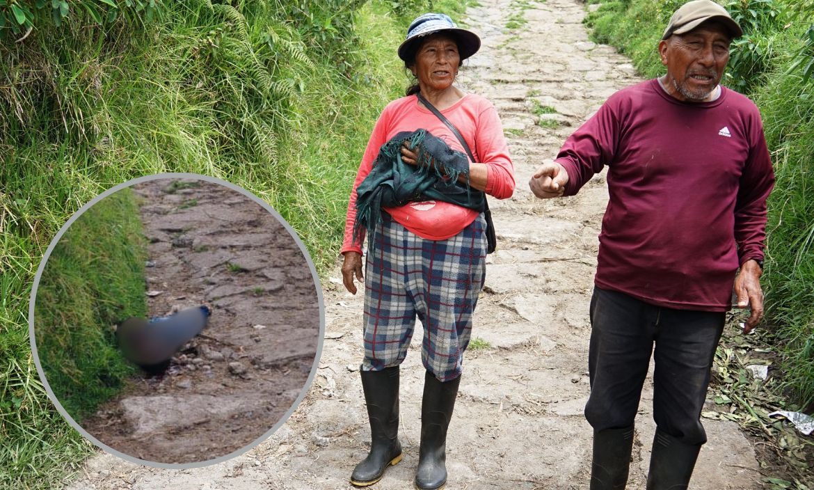 ¡Moradora encontró un cadáver en su terreno! | Noticia Quito