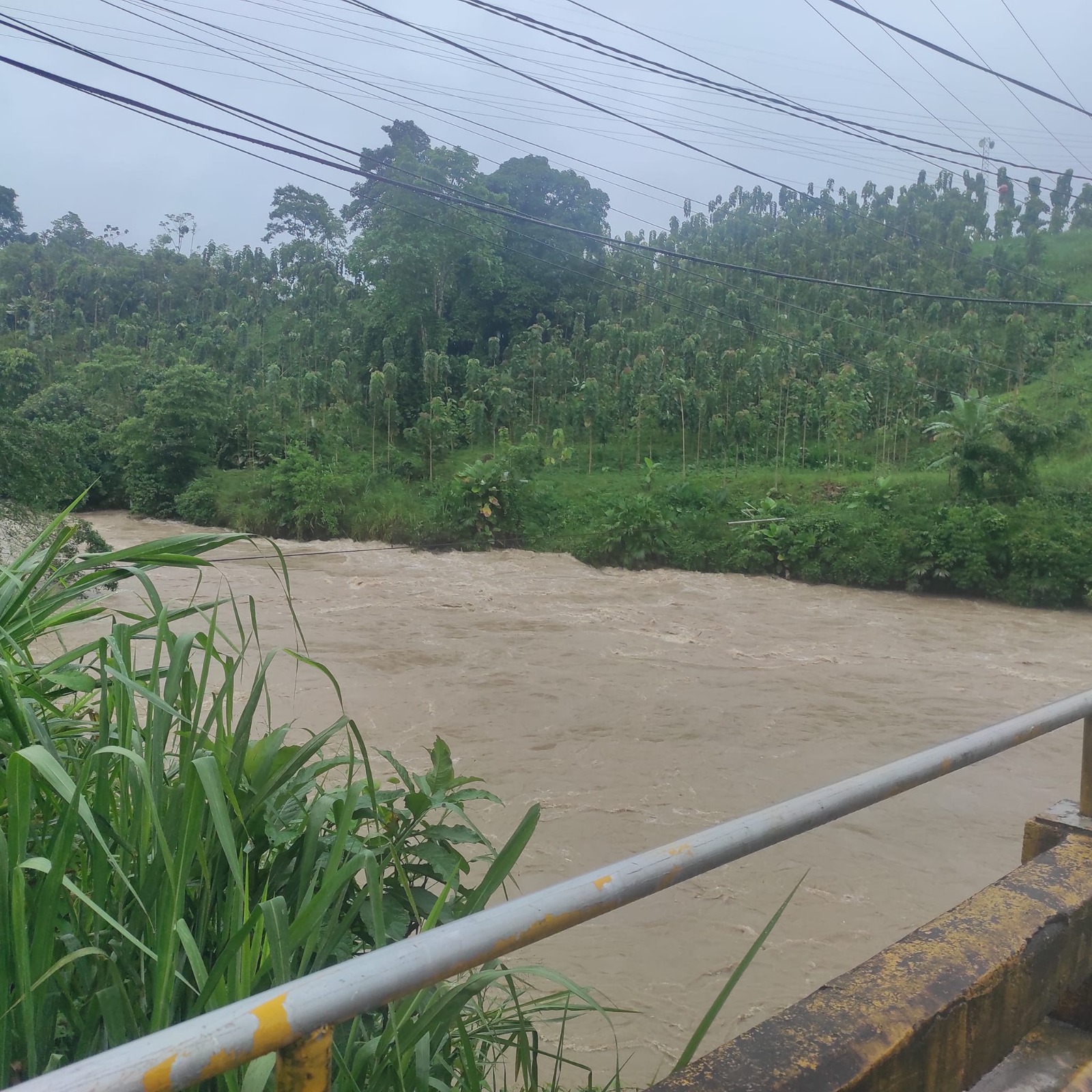 Quinindé: Lluvias torrenciales causan estragos en la parroquia Viche