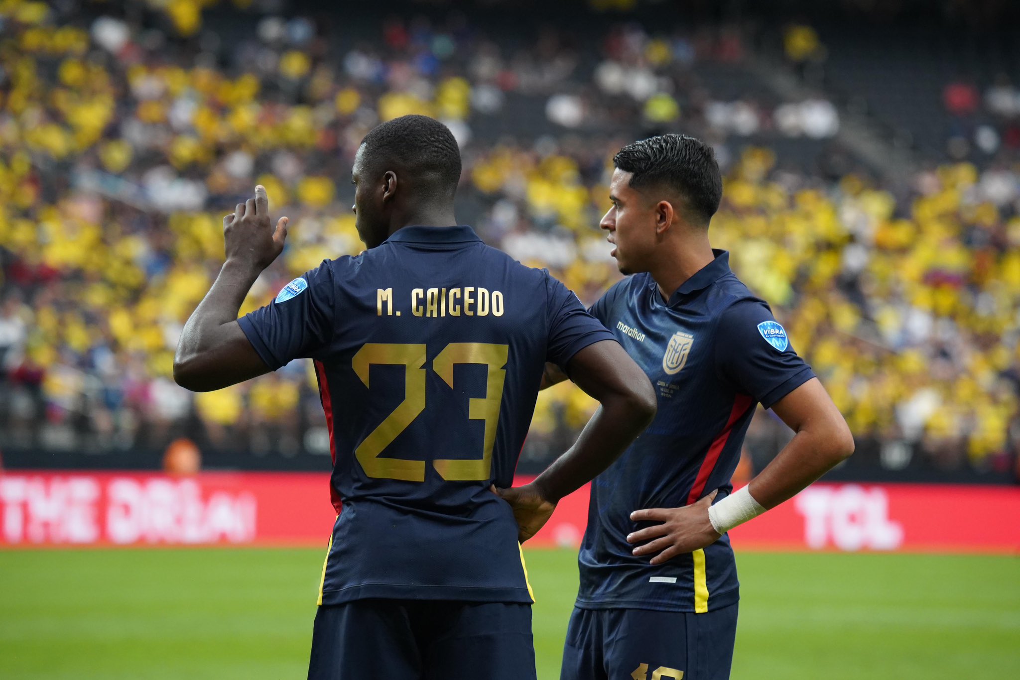 ¿Ecuador en aprietos en la Copa América 2024? Conoce en qué posición ...