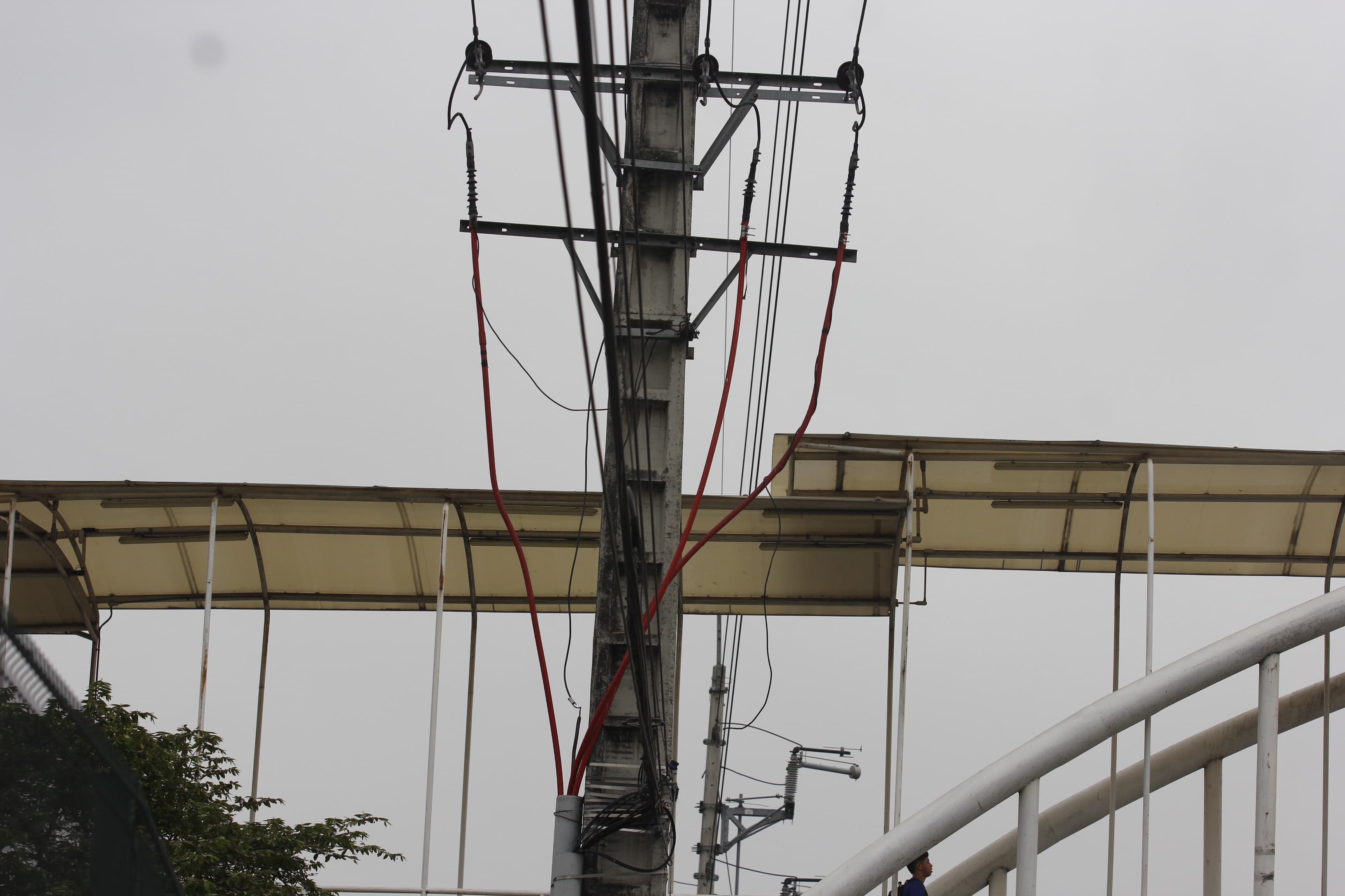 Guayaquil: Indigente muere electrocutado tras intentar robar cables de ...