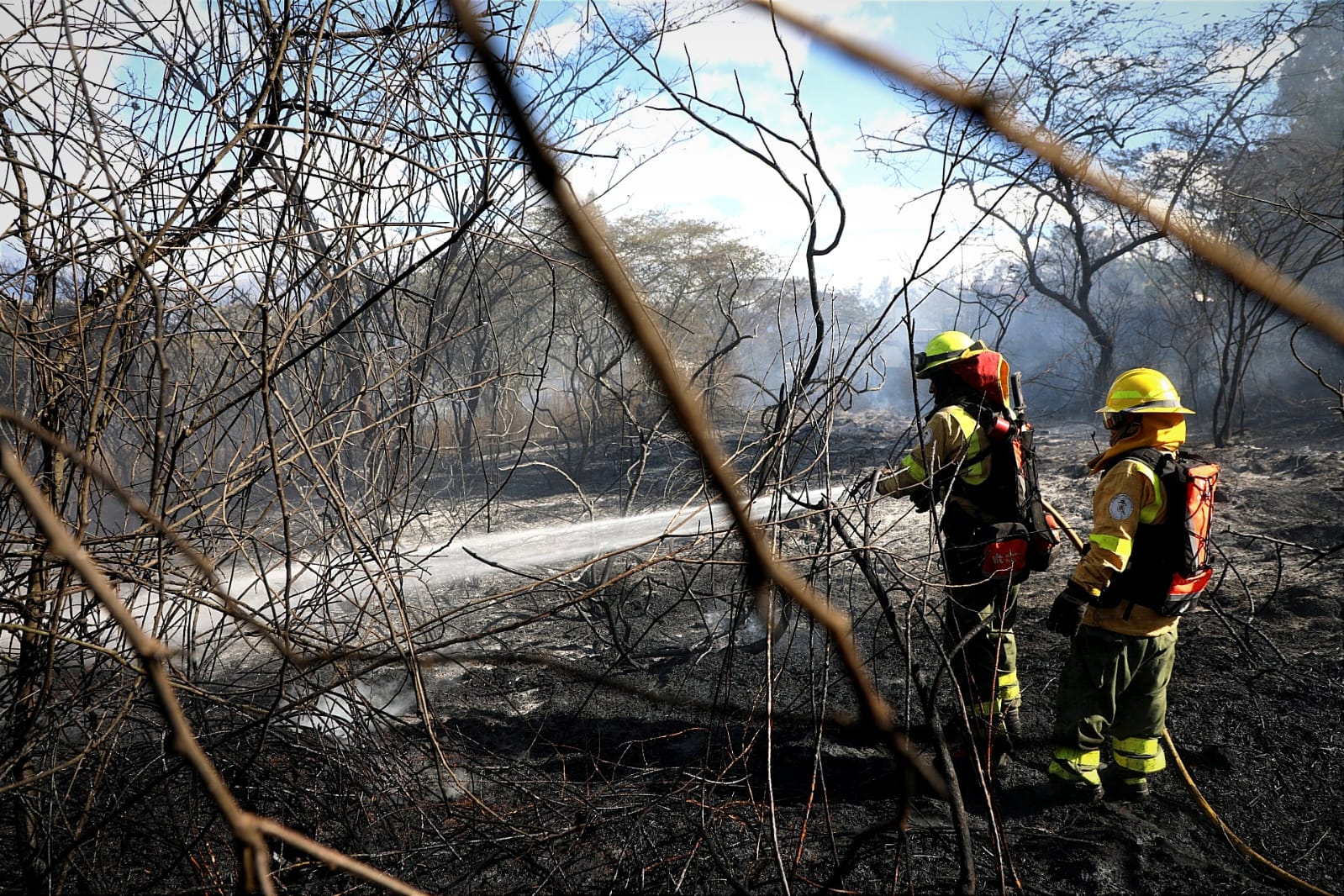 Incendio forestal Quito: Bomberos combaten fuego, que ya afectó 210 ...