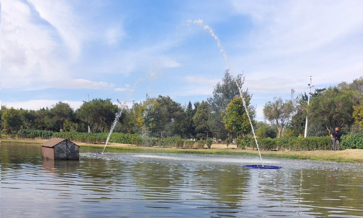 Parque Bicentenario de Quito: Avanza su revitalización con propuestas ...