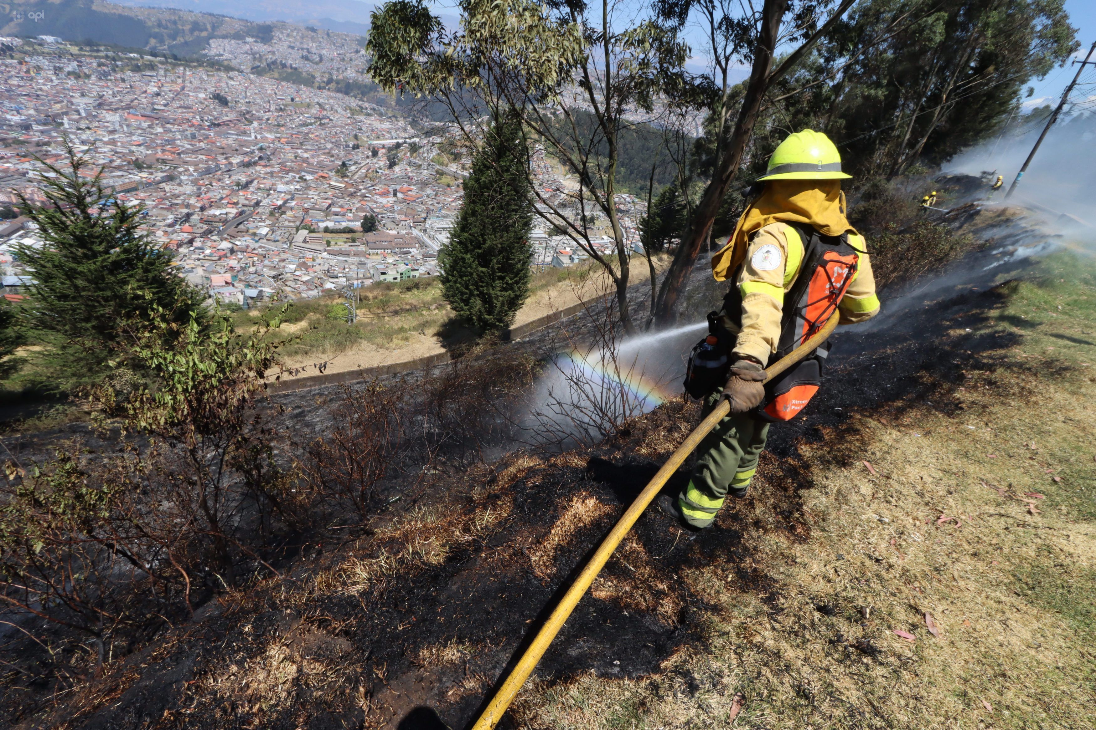 Miles de hectáreas de bosque destruidas por incendios en Ecuador