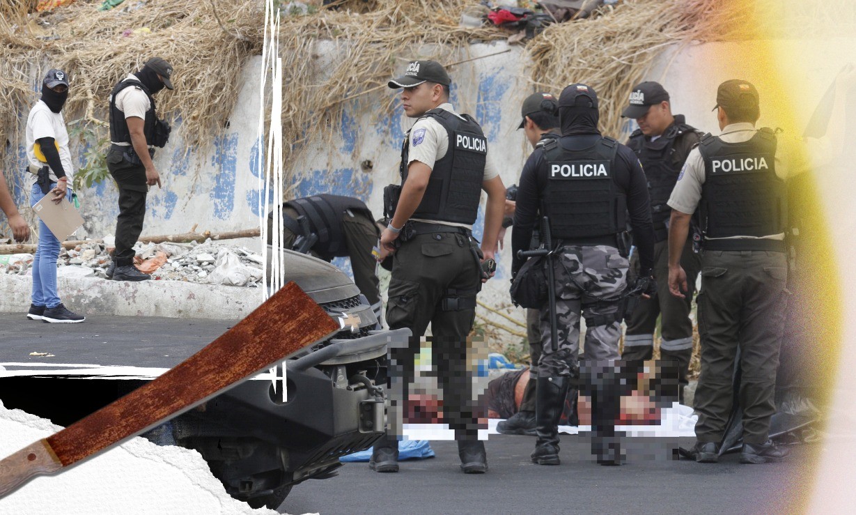 La sorpresa de una familia en Durán que llegó a verificar si el ...