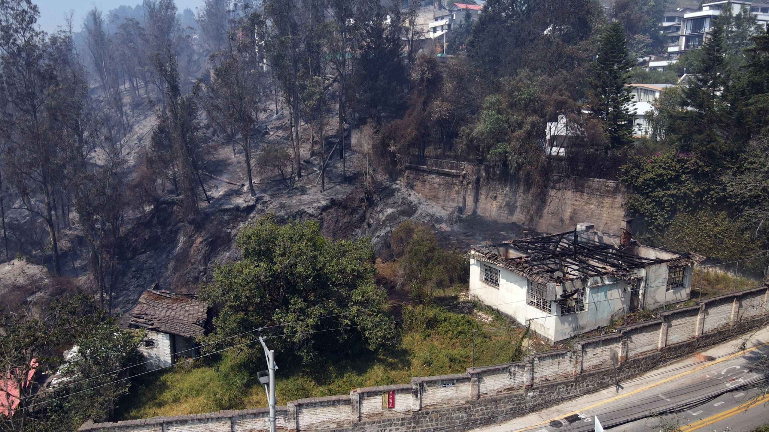 Incendios Quito: millonaria inversión y décadas para recuperar el ...