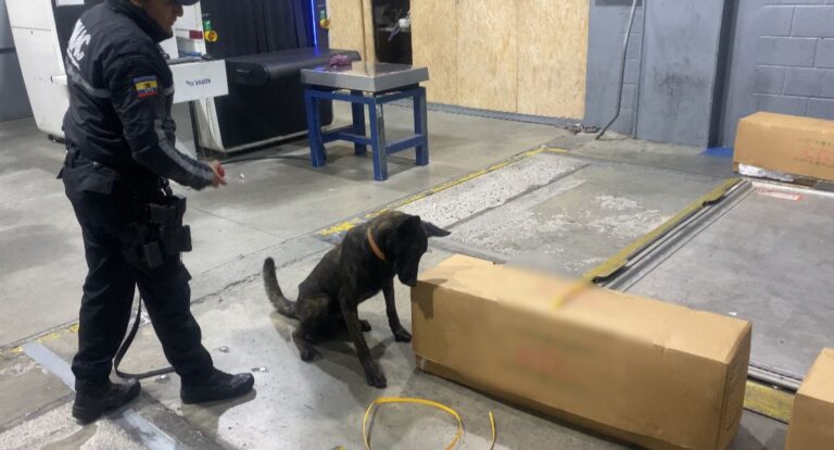 Perro detectó una tonelada de cocaína en el Puerto de Guayaquil ¿Cuál ...