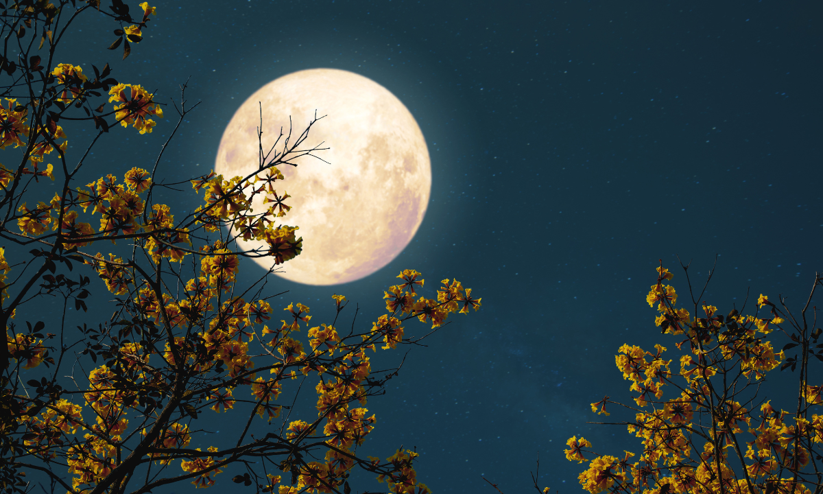 ¿Qué es la 'Luna de las Flores'? Detalles del fenómeno astronómico del ...