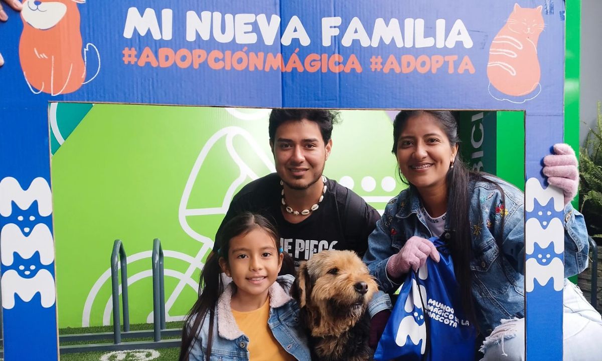 ¿Qué es el mundo Furry? Descubre la subcultura que conquista Ecuador