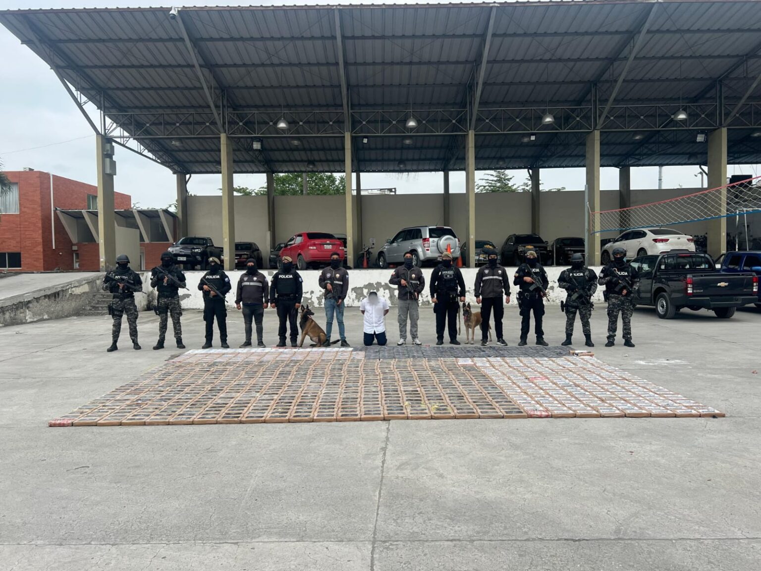 Perro detectó una tonelada de cocaína en el Puerto de Guayaquil ¿Cuál ...