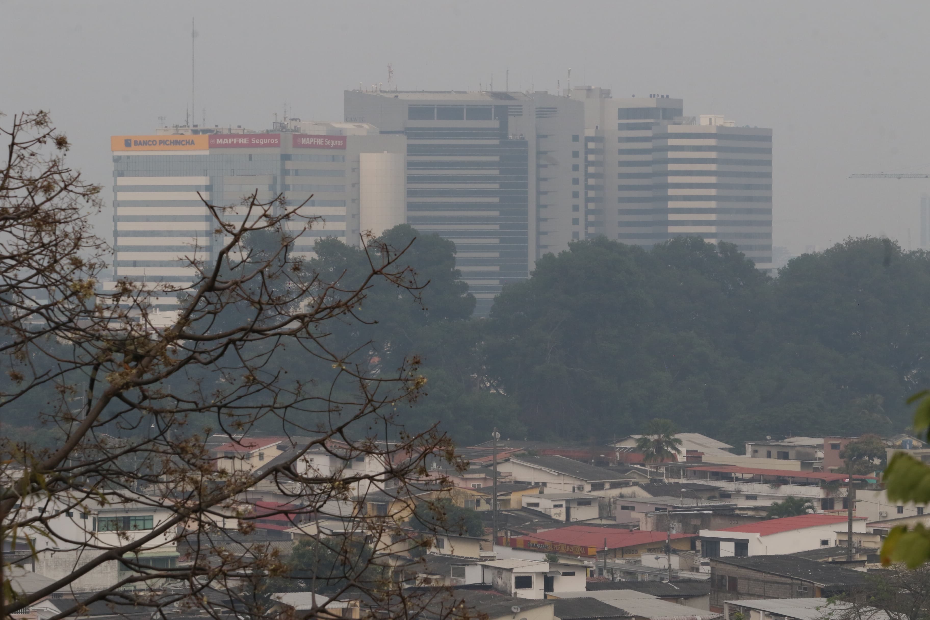 Inusual neblina sorprende en el centro y norte de Guayaquil ¿A qué se debe