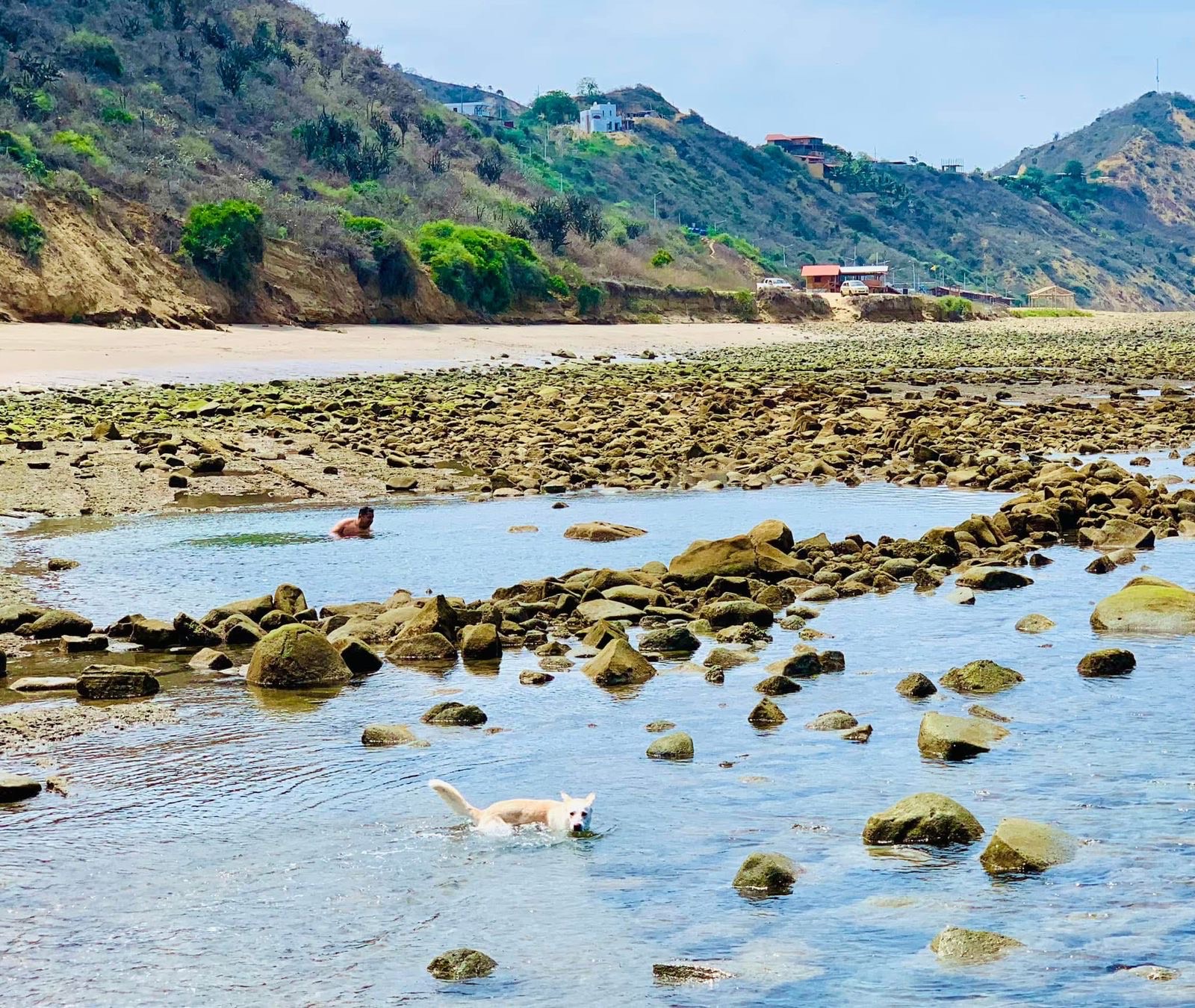 Engabao Republic: ¡Surf, chanchos y éxito!