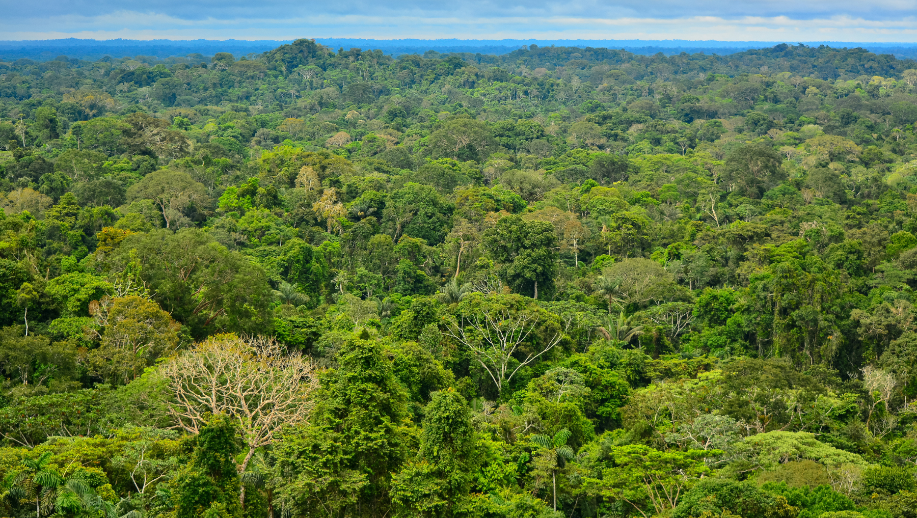 Tres muertos en Taisha: lo que aún no se sabe del accidente aéreo en ...