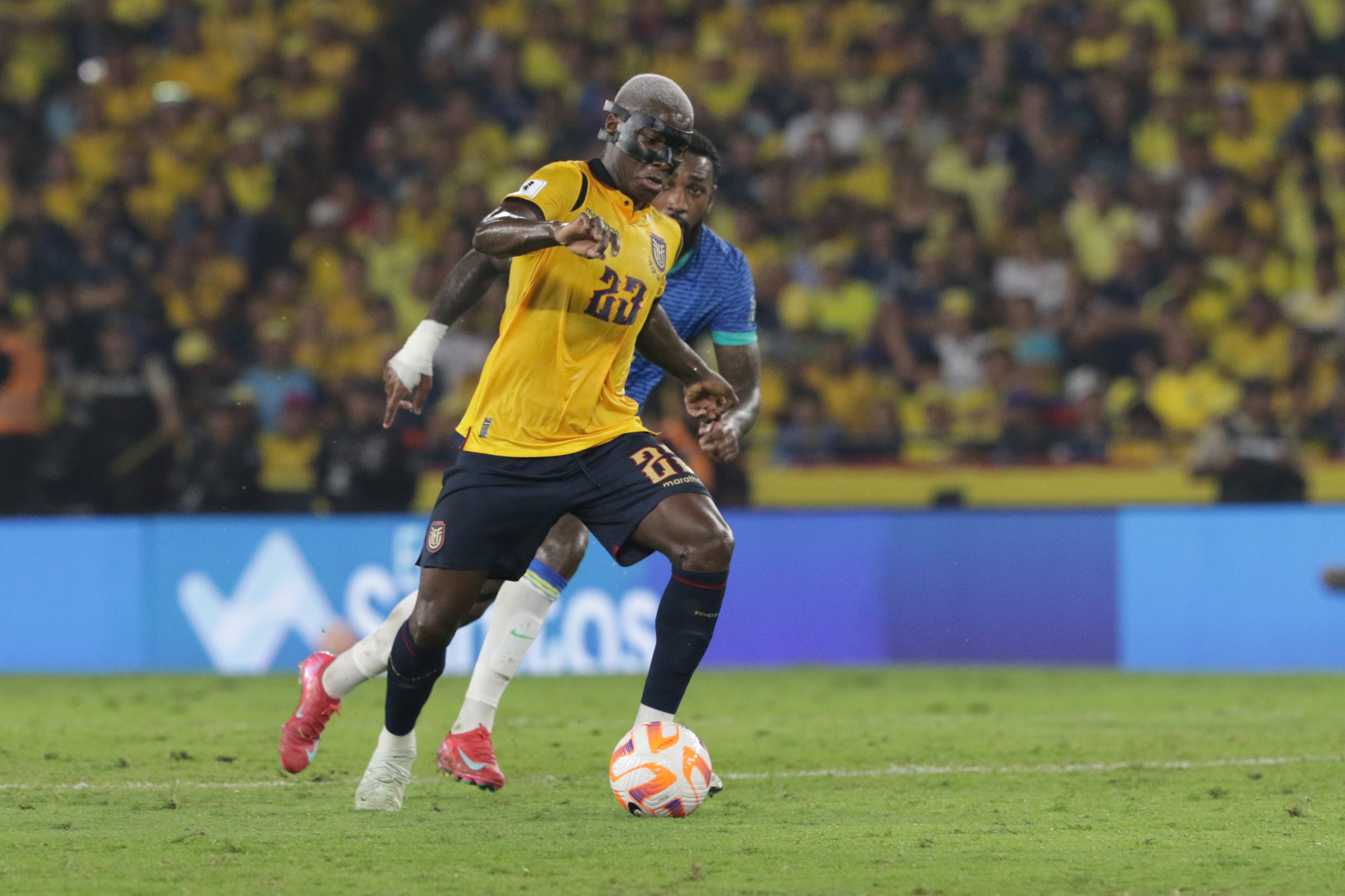 Moisés Caicedo recibió amnistía y sí jugará el primer partido del ...