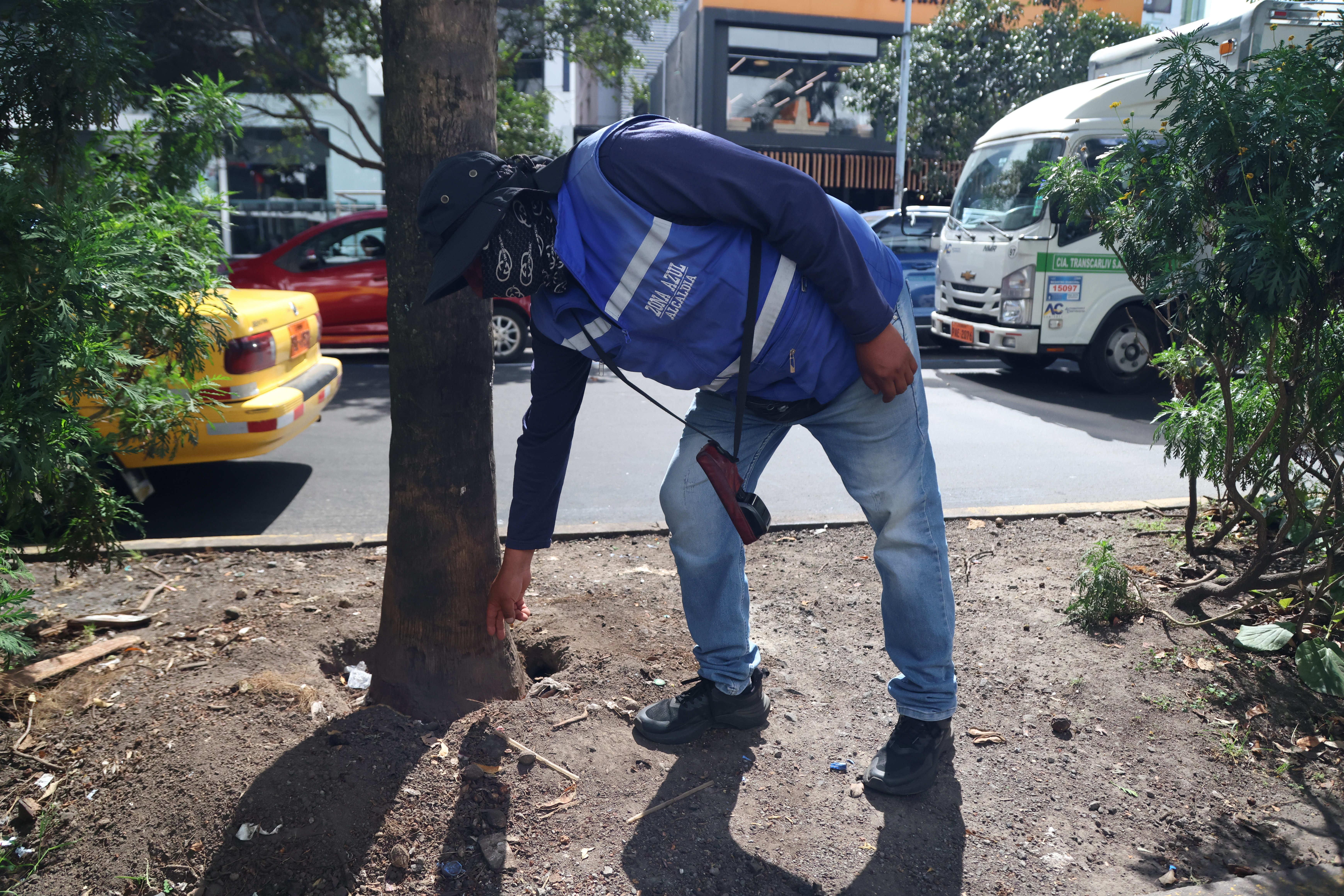Ratas, basura y palomas: vecinos alertan foco sanitario en el norte de ...