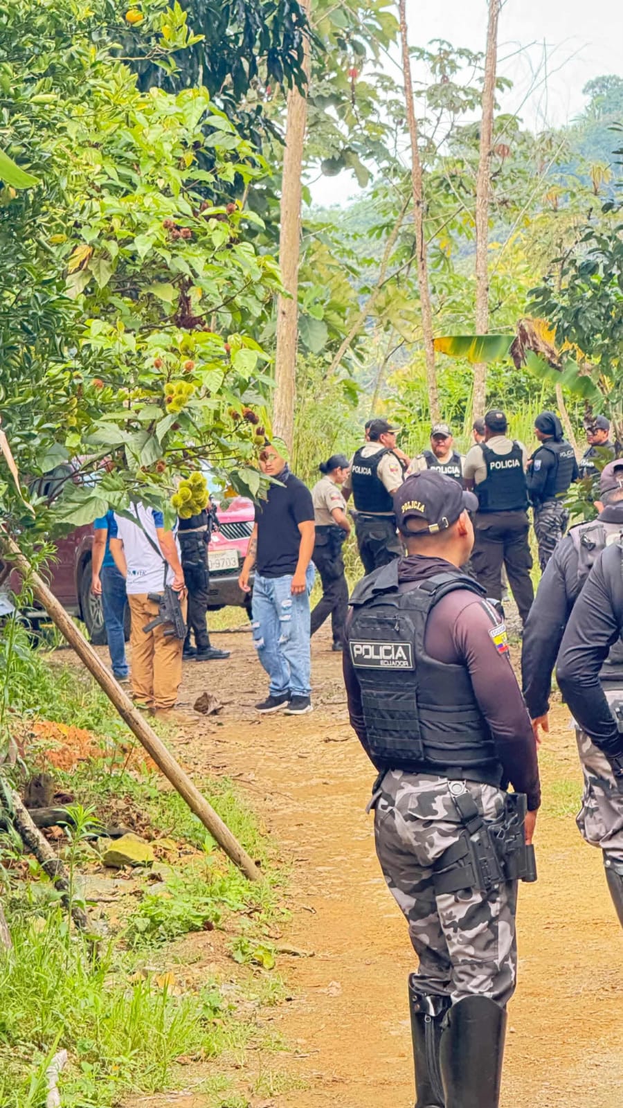 Triple crimen en Zaruma: hallan a tres hombres asesinados dentro de ...