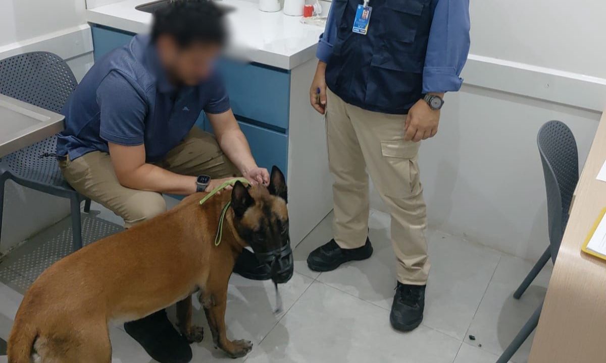 Atropellamiento en Guayaquil: conductor arrolló a un adulto mayor y a ...